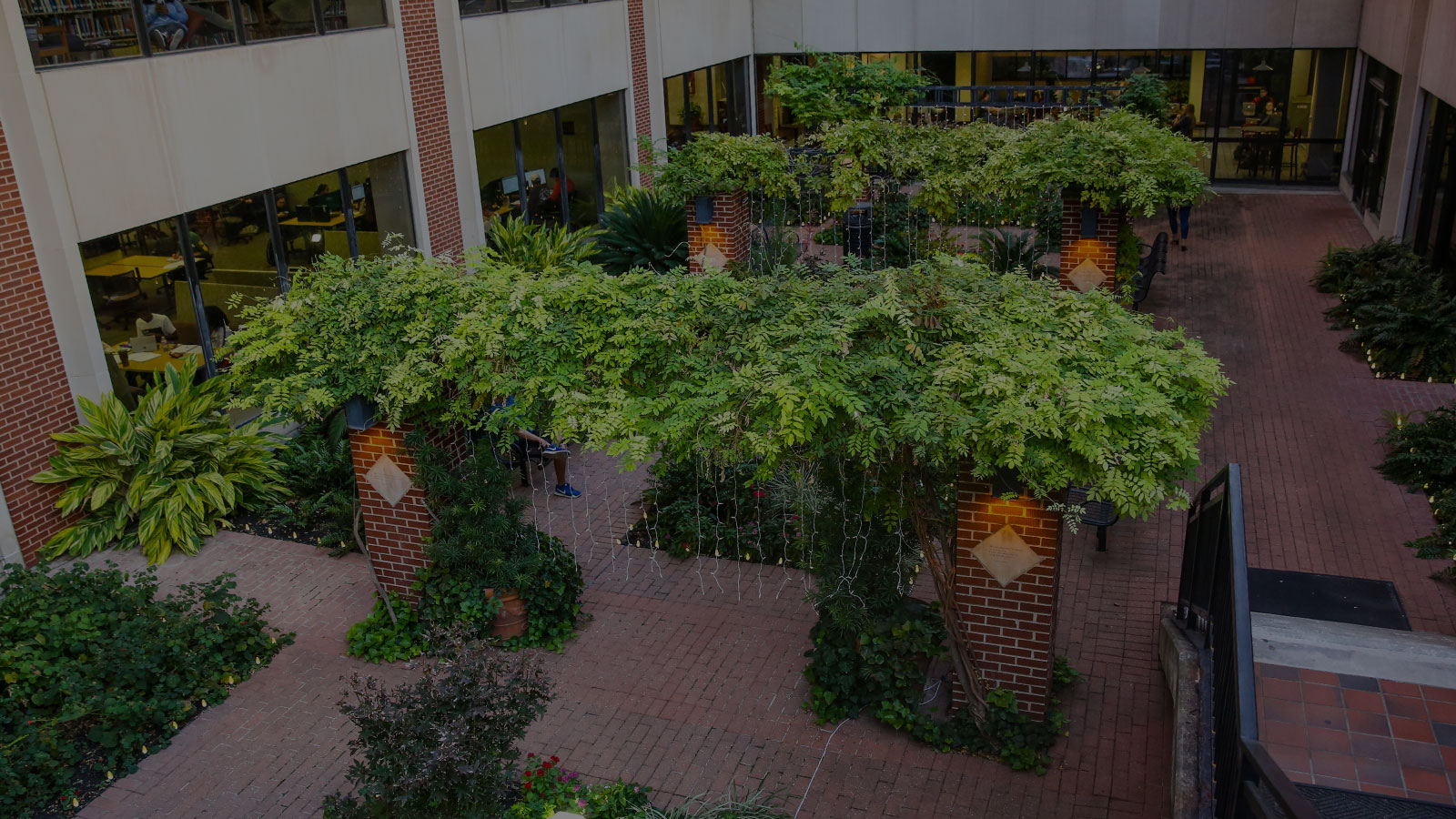 baylor epic help desk